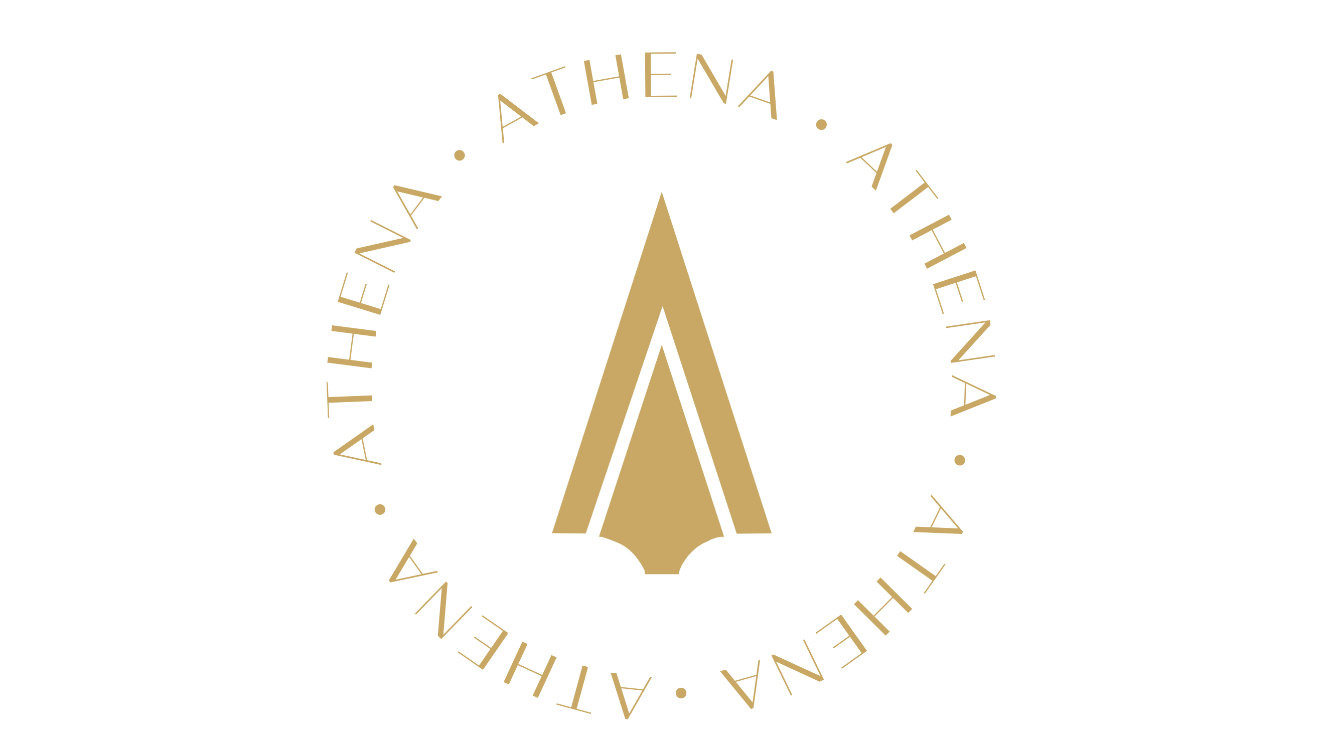 Athena Fightwear – FIGHT CONCEPT